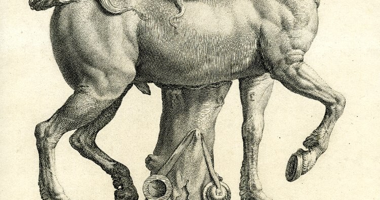 Centaurs, Wodwos, Wasps and Orchids—A Unitarian Meditation