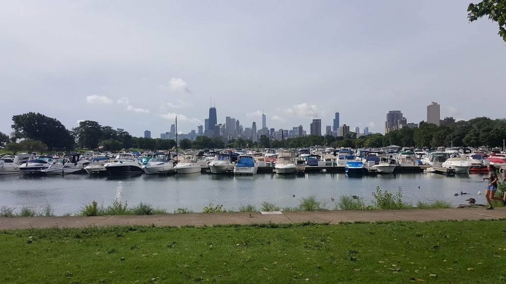 The Chicago Real Estate Local: January 2019