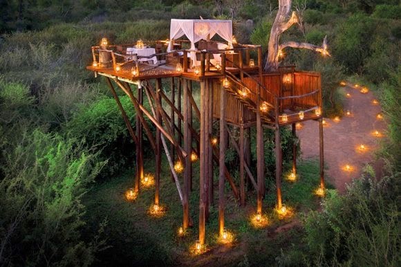 Coolest Tree House Hotel in the deep Africa | Vacation Deals
