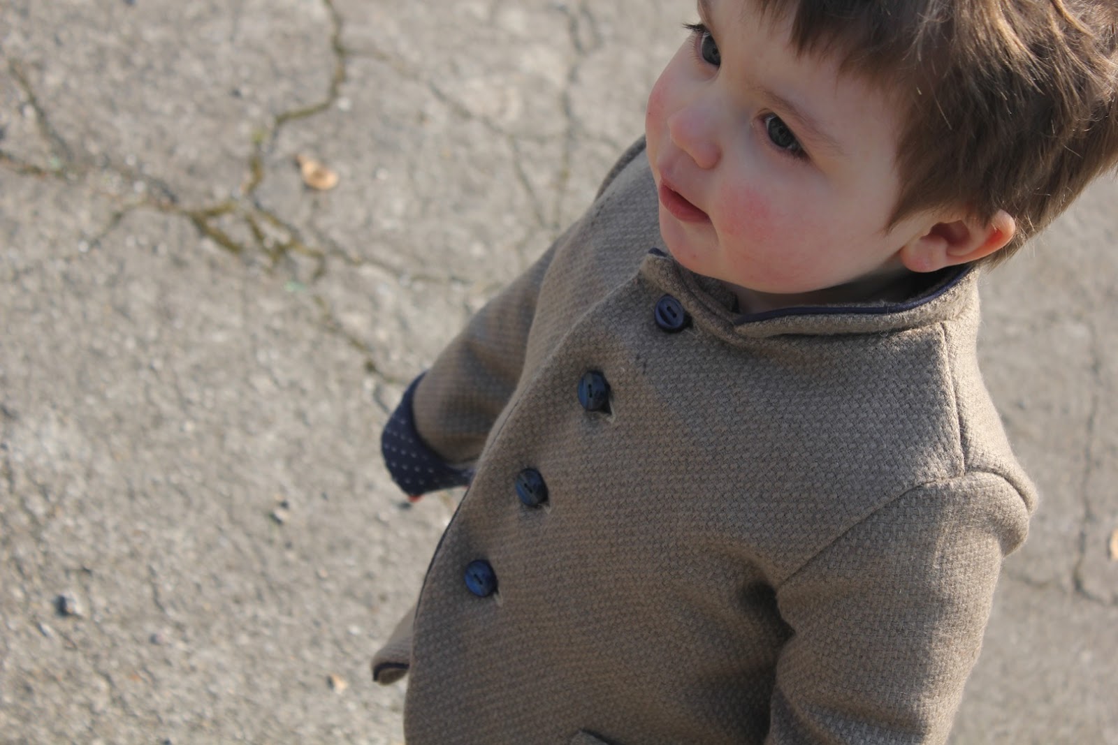 La Belette de la Marmotte: Little dandy...