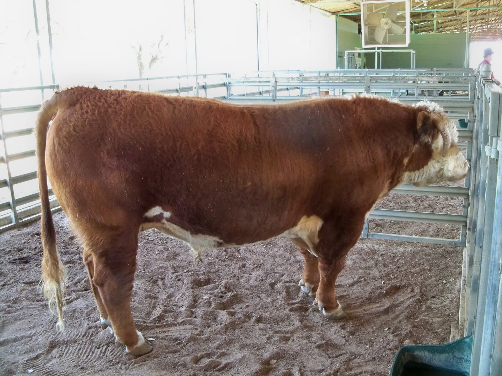 Backroads with Barb and Bill: LBJ Ranch, Stonewall, TX April 6, 2011