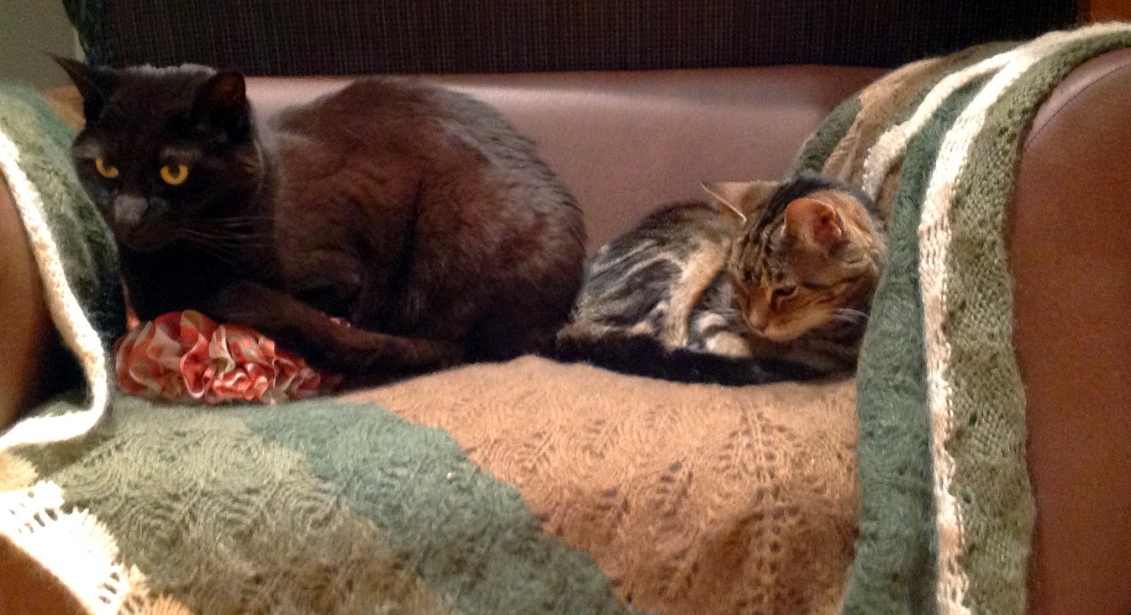 Arenda Holladay: Tubular Cast On Using Judy's Magic Cast On