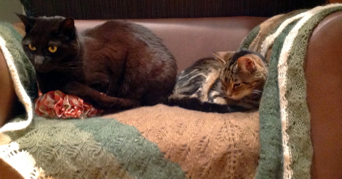 Arenda Holladay: Tubular Cast On Using Judy's Magic Cast On