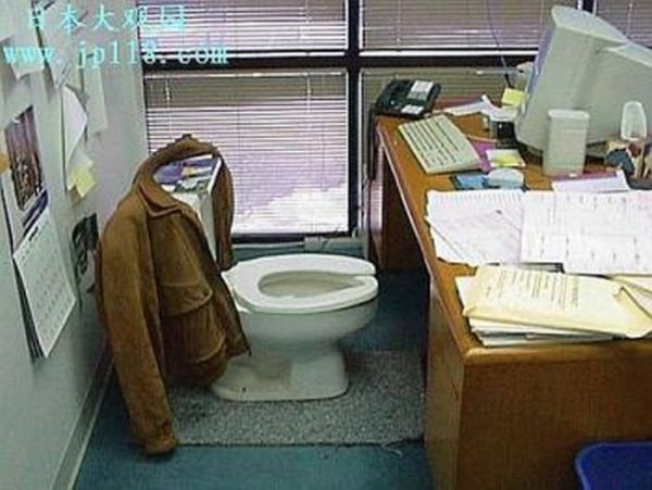 Custom Cubicles - 15 Pics | Curious, Funny Photos / Pictures