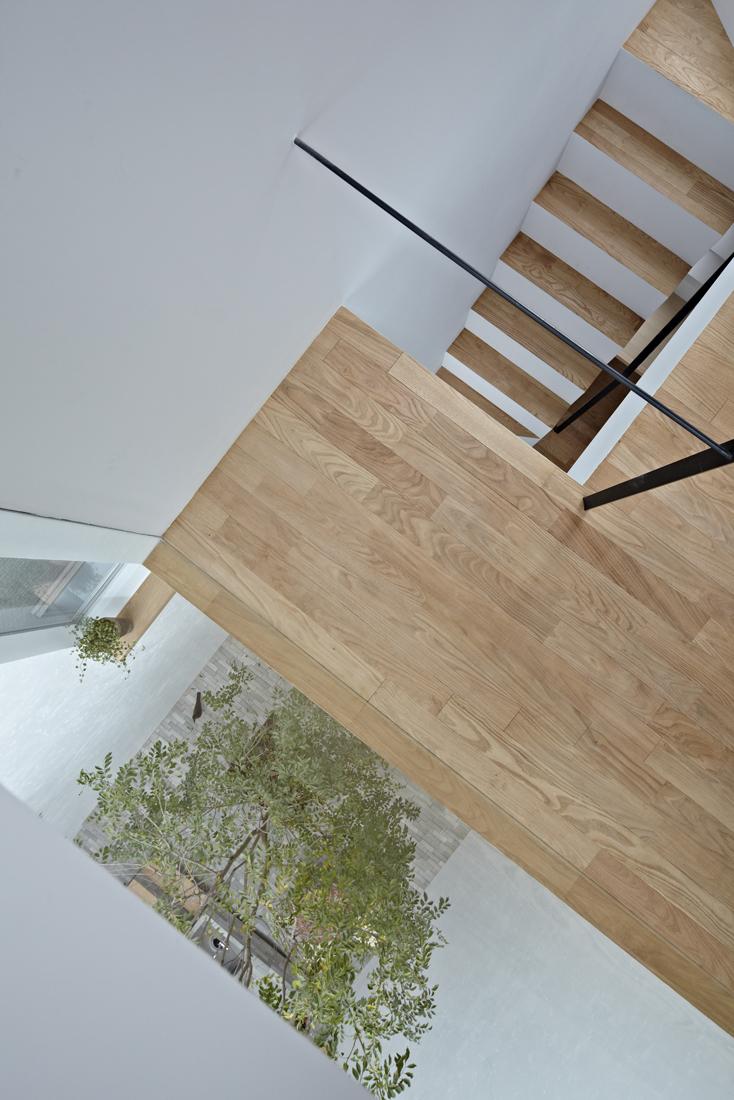 mamm-design – a f a s i a