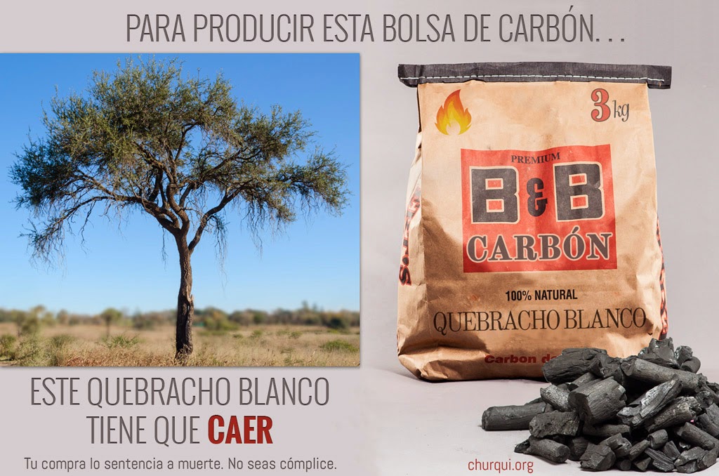 PLANTAS MEDICINALES A TU SALUD: QUEBRACHO BLANCO