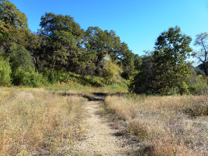 Hiking Oak Glen Preserve (The Wildlands Conservancy)