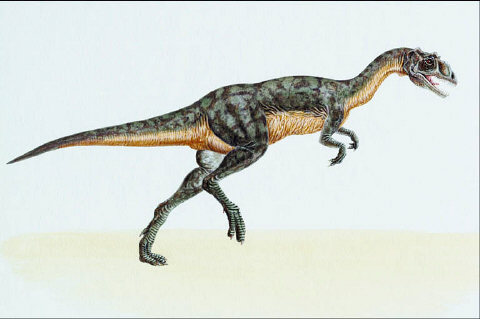 Dinosaur of the Week: Eustreptospondylus Poses