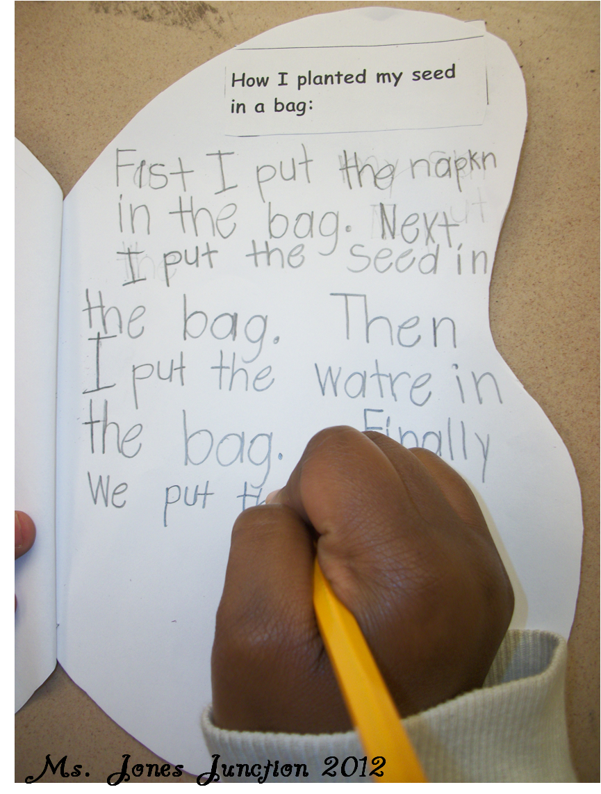 Ms. Jones' Junction: More Plant Fun-Exploring Inside a Seed and a FREEBIE!!