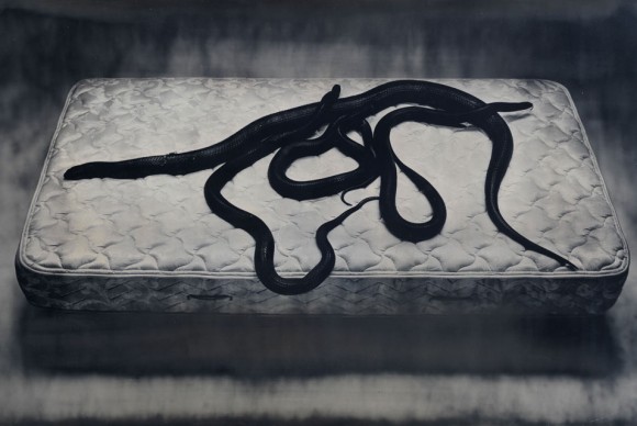 Strawberige: Adam Fuss