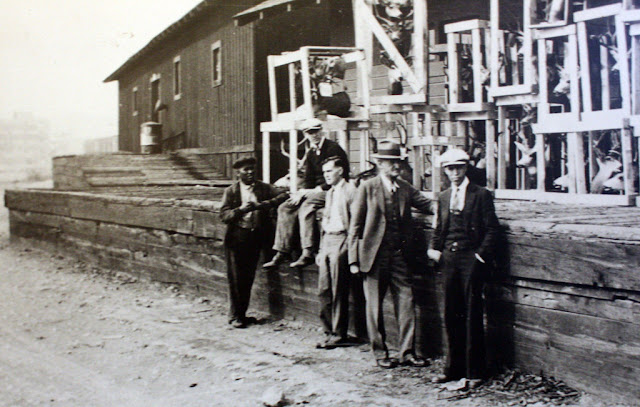 Vintage Snapshots of Everyday Life in Arizona during the 1930s ...