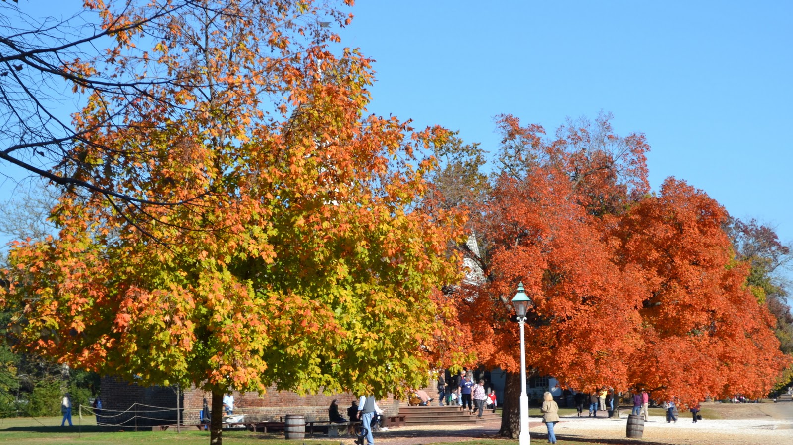 The View from 256: Autumn at Williamsburg