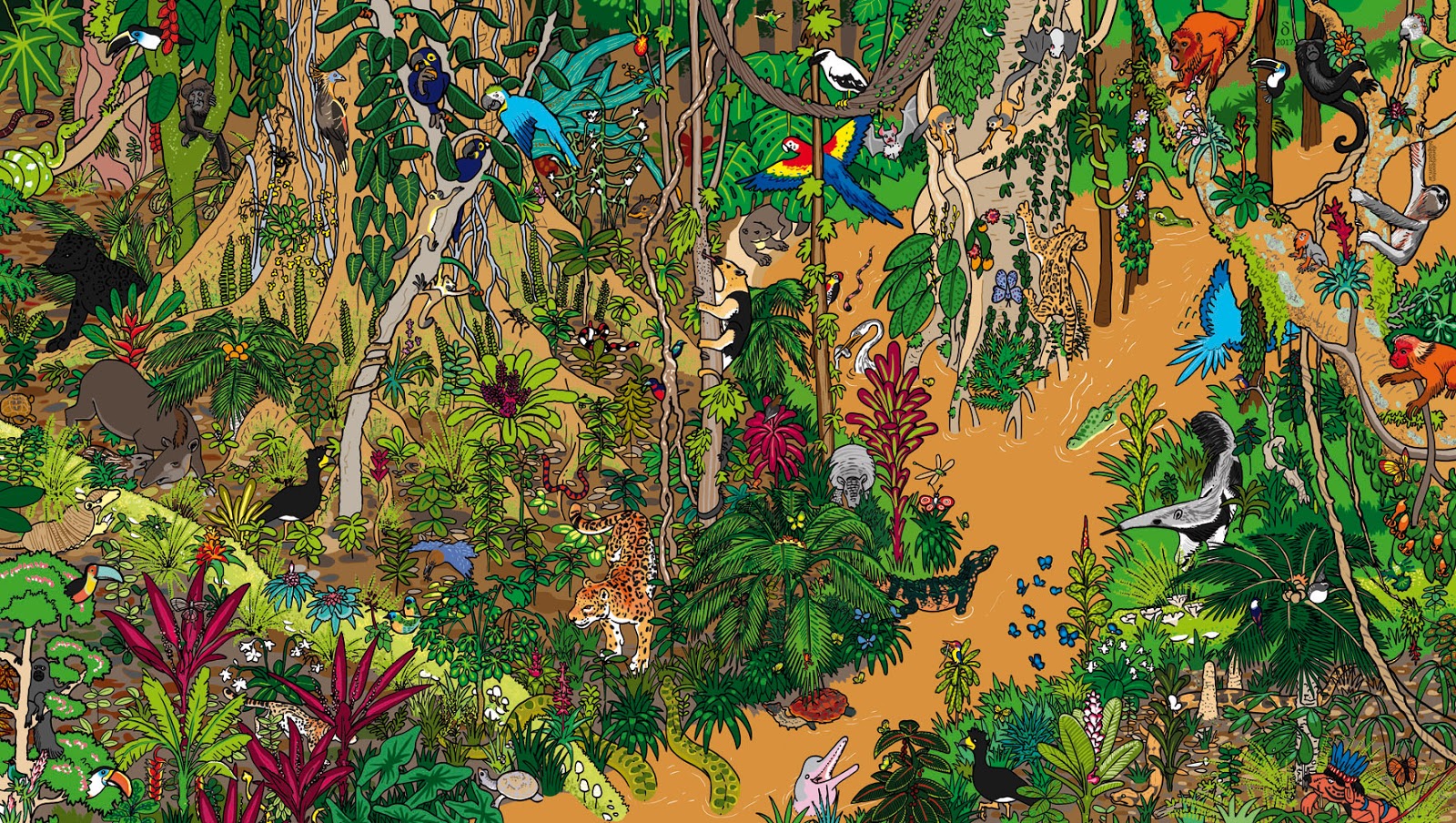 daniel sponton: Amazonas