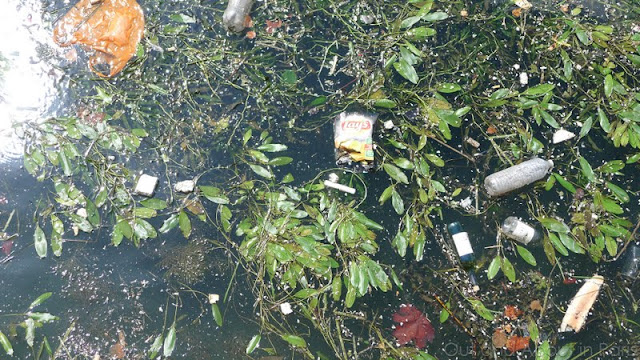 Antidote to "Paris Syndrome": Garbage in the Seine