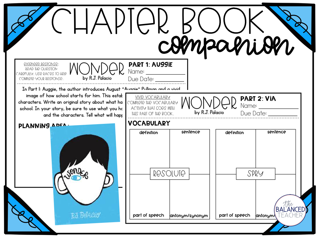 Chapter Book Companions