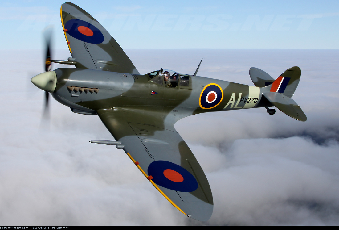 Gray Spitfire