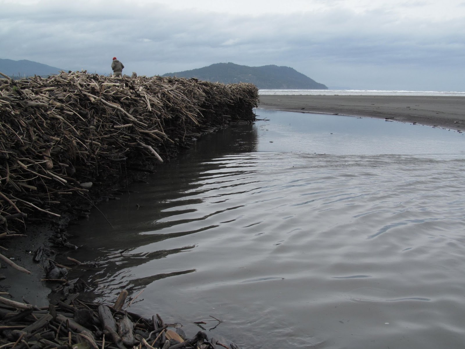 Gravel Beach: Elwha Delta