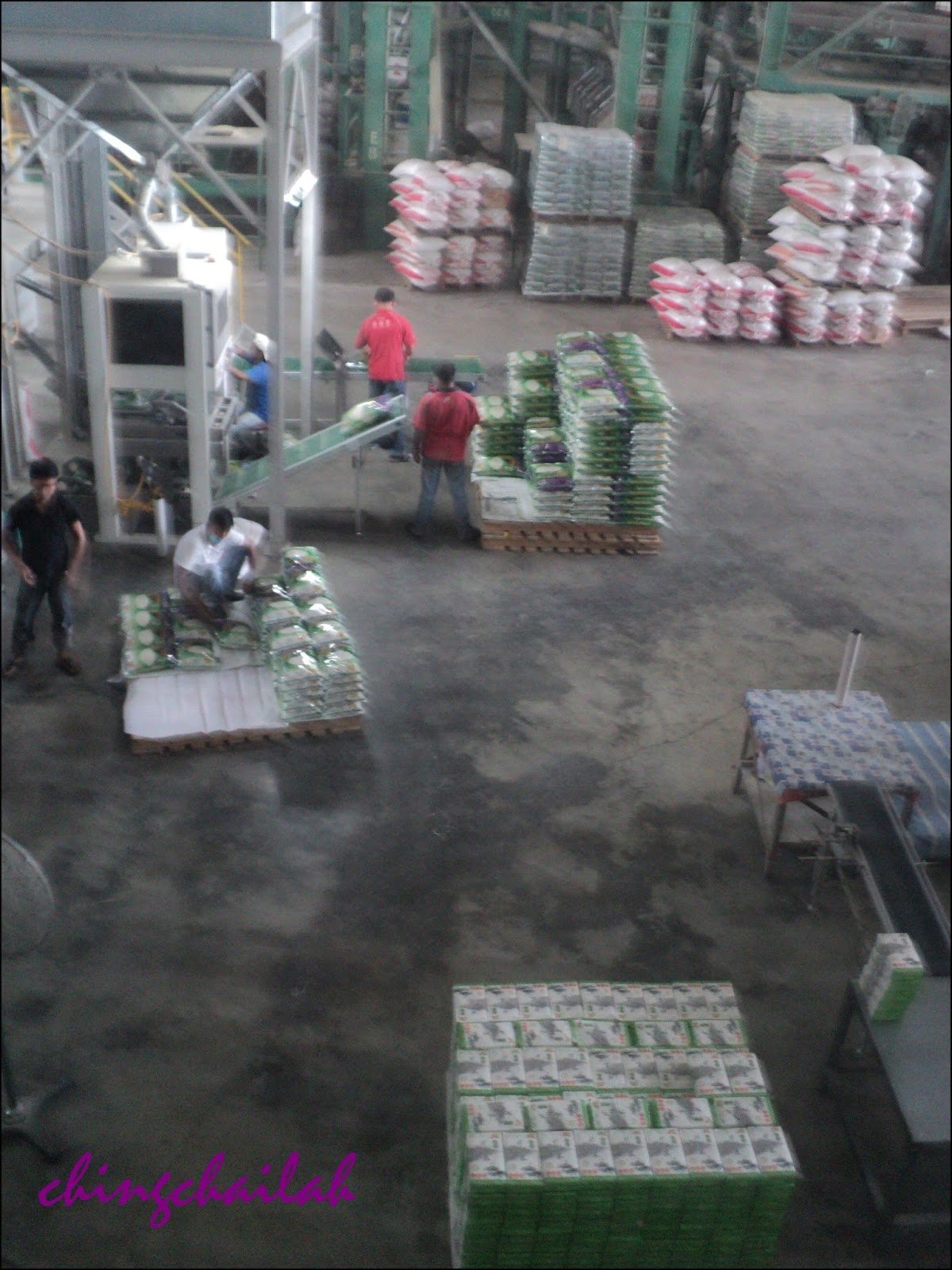 Simple Living In Nancy: Sekinchan, Here We Come! #1 - Paddy Gallery