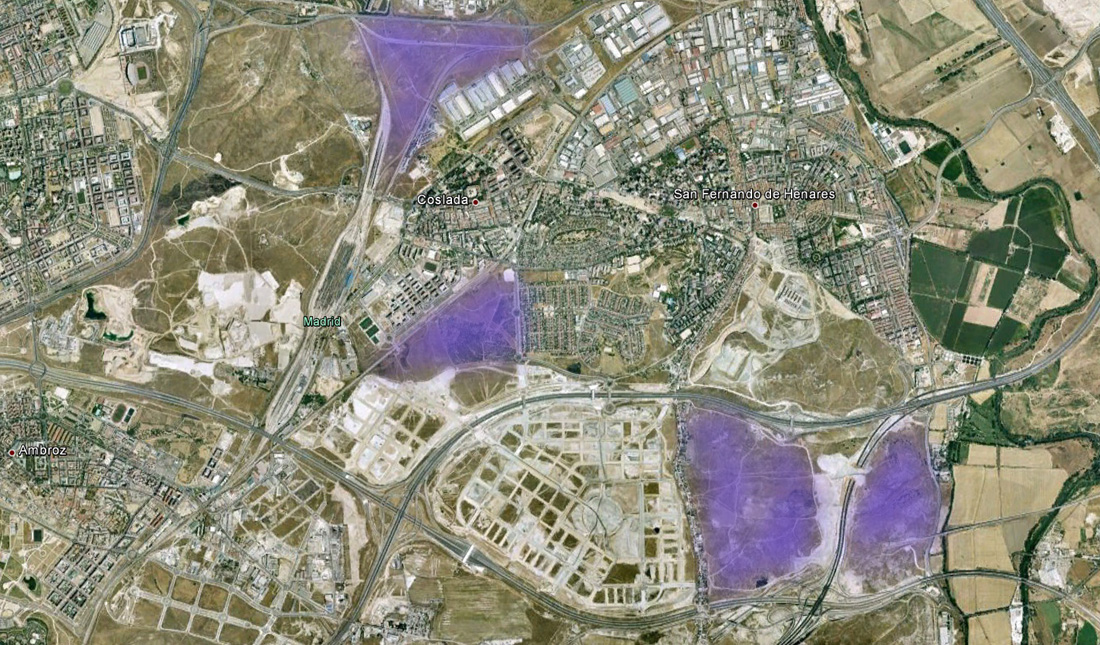 Mis encuentros con lo auténtico: Enclaves naturales de Coslada