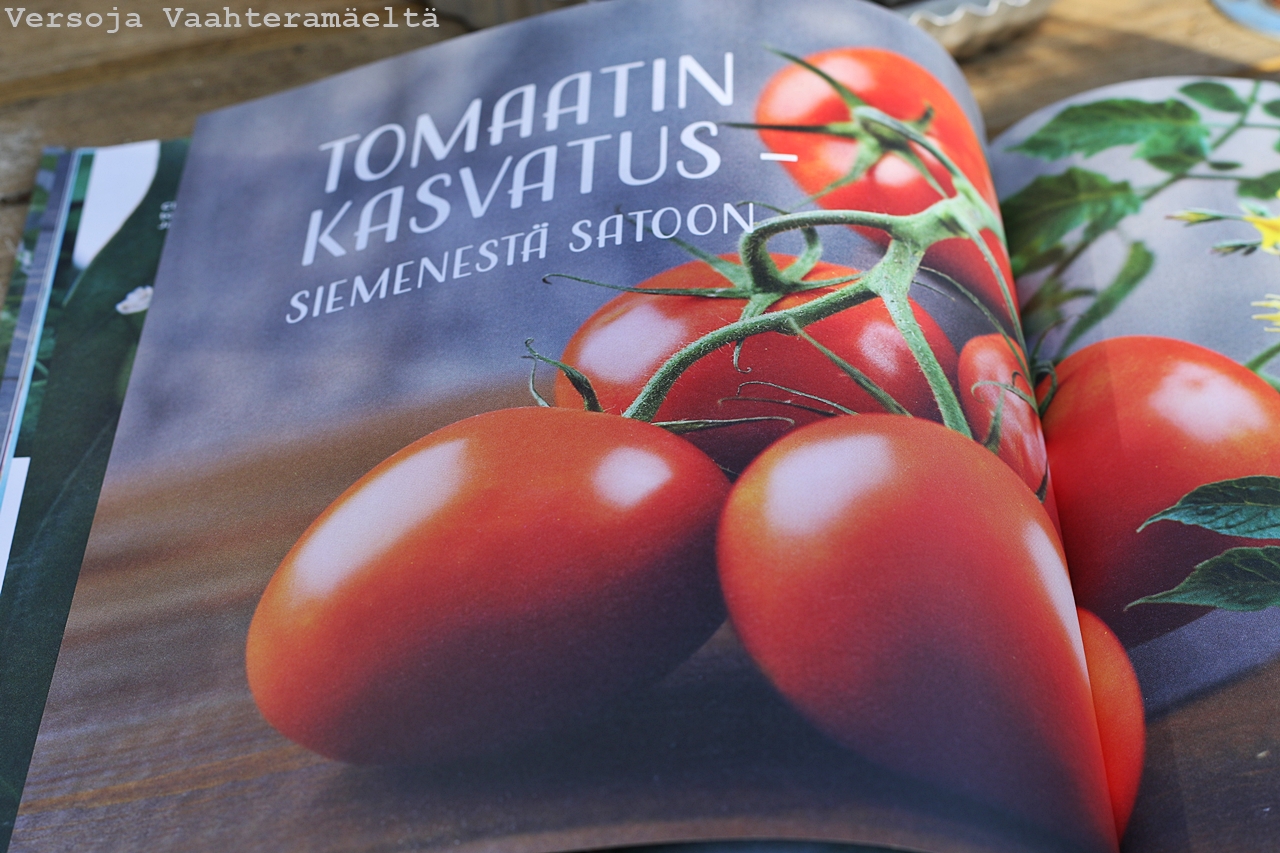 Versoja Vaahteramäeltä : Tomaatti!