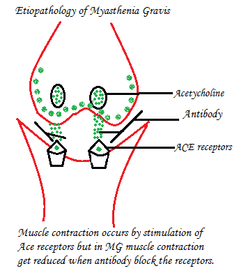 2017 - PHYSIO STUDY