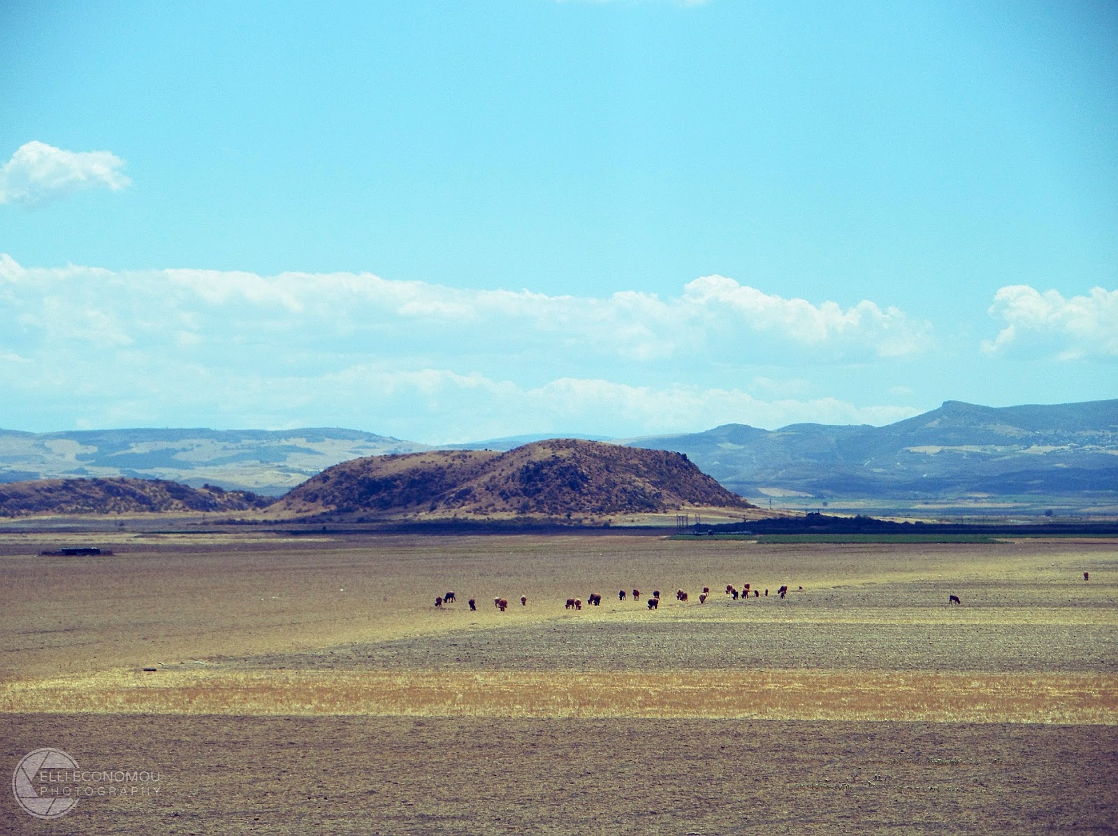 Elli Economou Photography: Plain of Thessaly, Greece