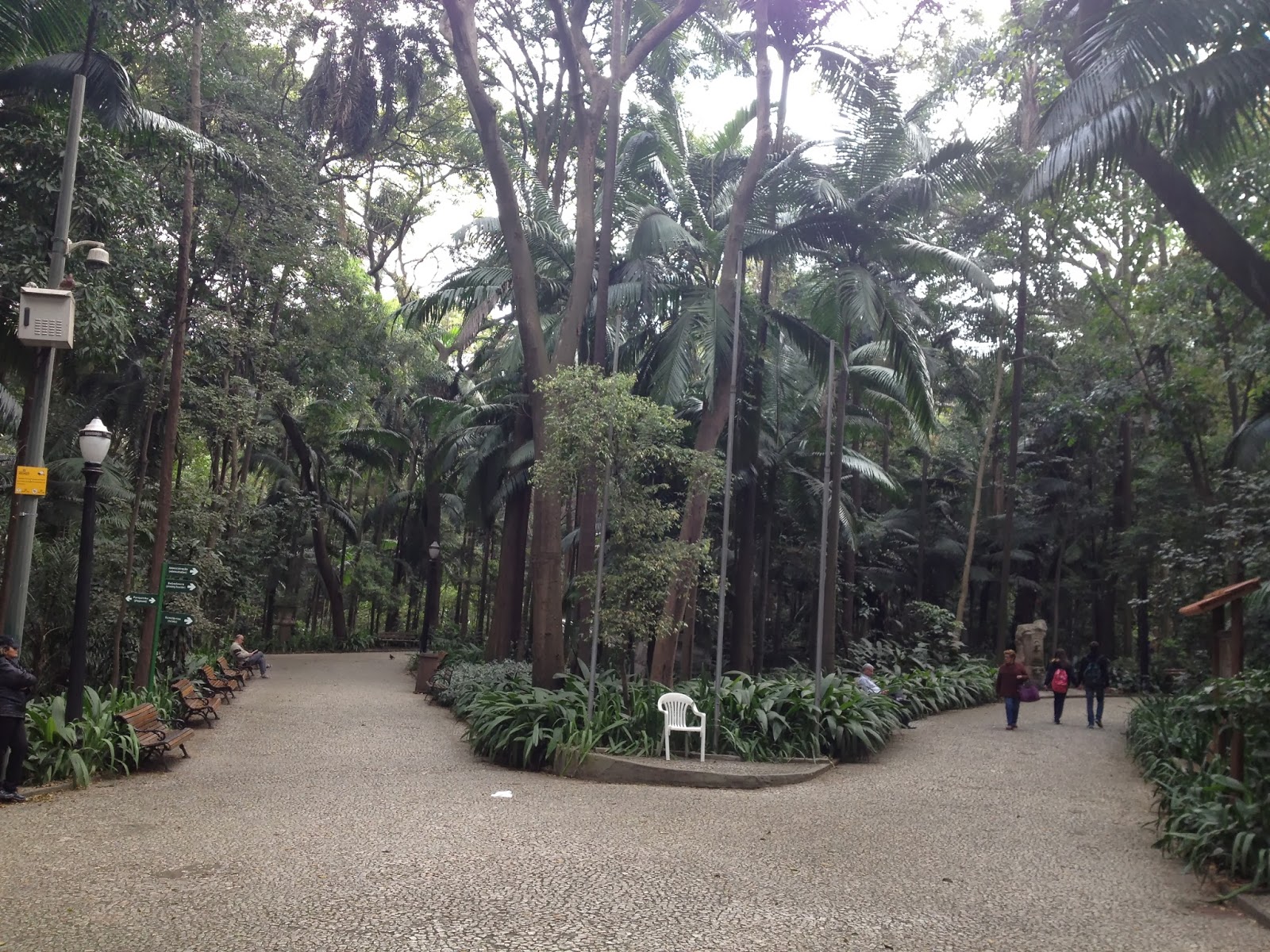 Check-in: São Paulo: MASP e Parque Trianon