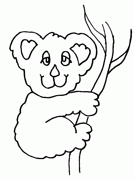 desenhos de koalas para colorir | desenhos para pintar e imprimir