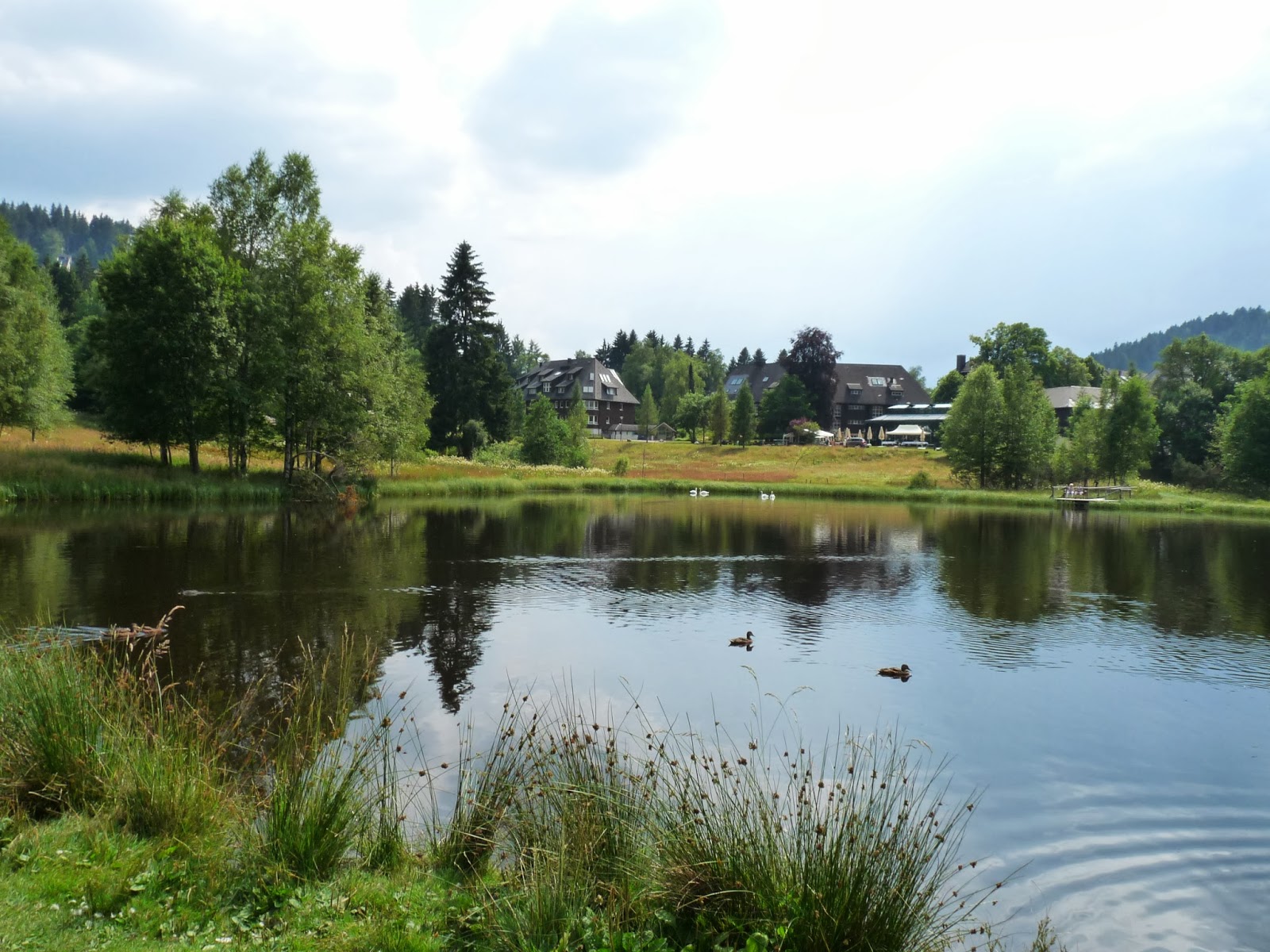 Descubriendo en familia: Día 5. Lago Titisee, uno de los lugares más ...