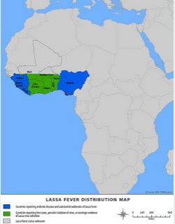 Avian Flu Diary: Nigeria's Lassa Fever Outbreak - Epi Week 4