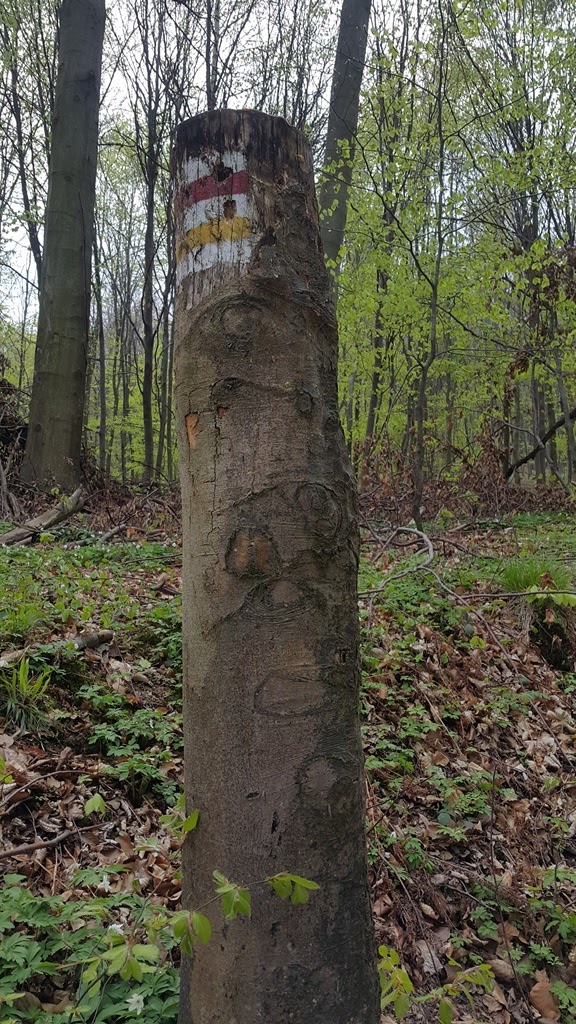 W górach jest wszystko, co kocham: Gromnik i Ostra Góra (Wzgórza ...