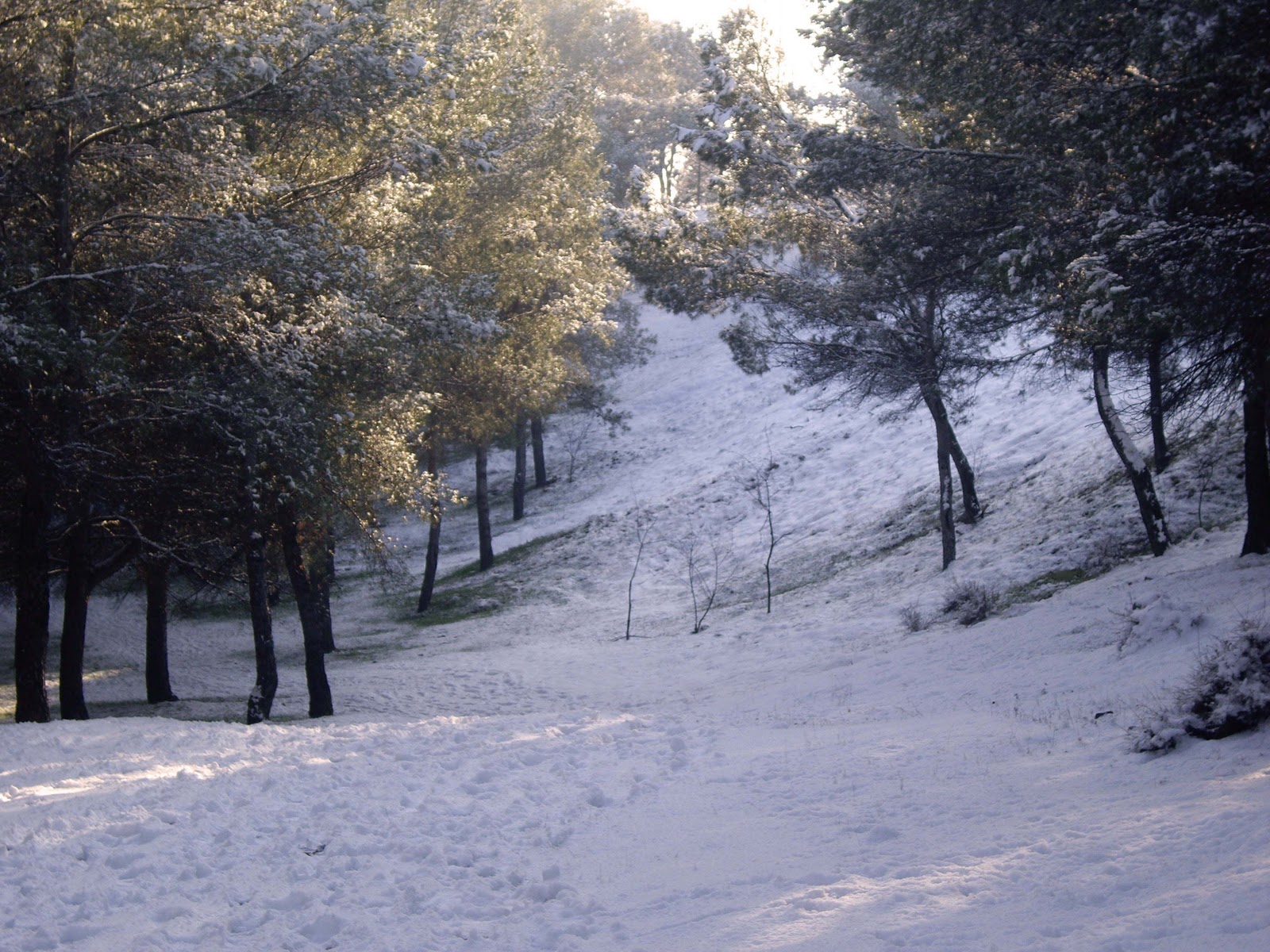 Lo que veo con ella: Nieve (Snow)