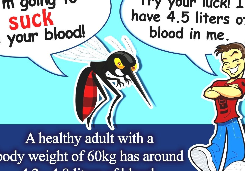 Blood Volume - Quantity Of Blood In Human Body