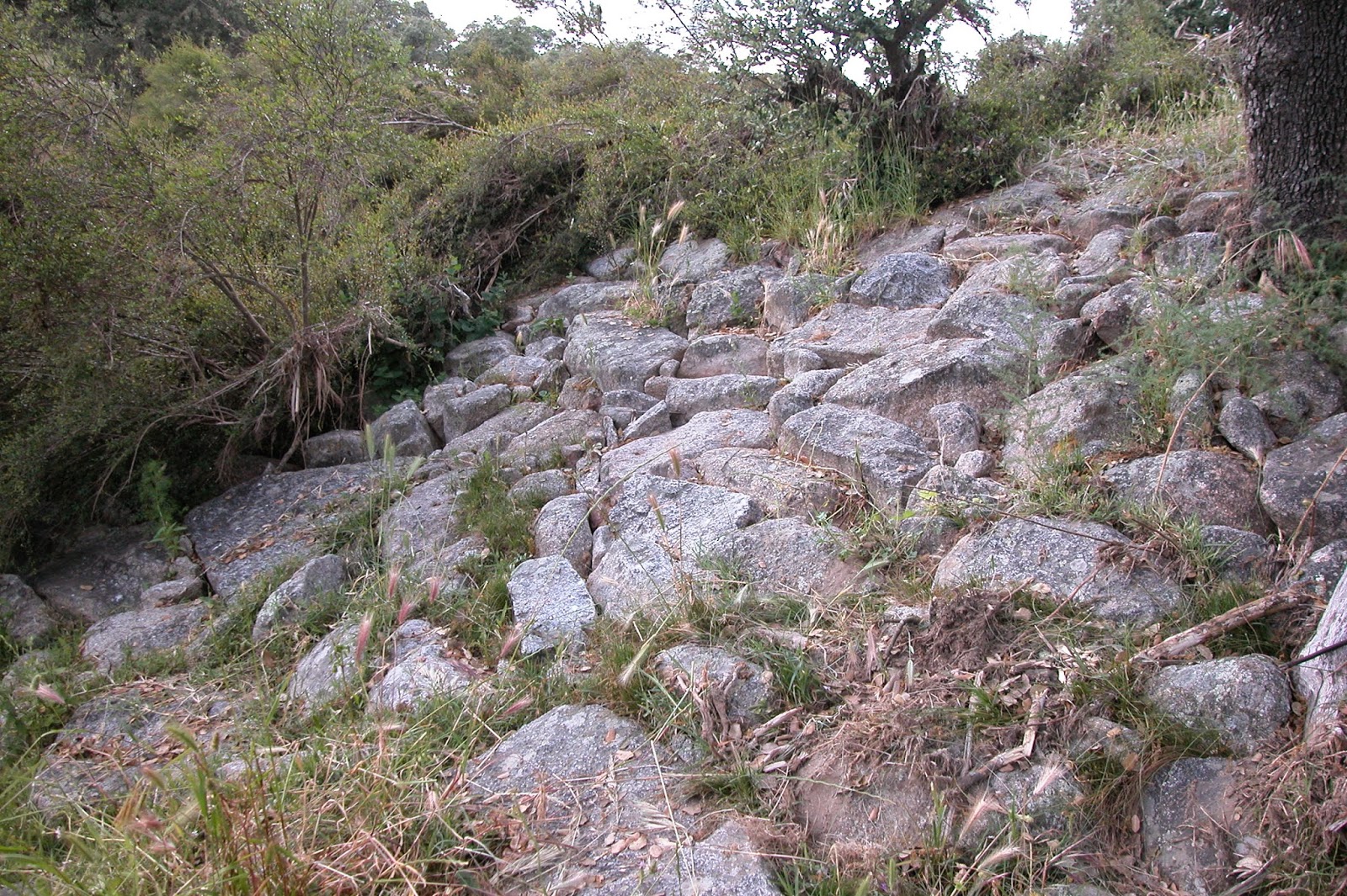 HISTORIA Y CULTURA DE ADAMUZ: El Primer molino del Matapuercas