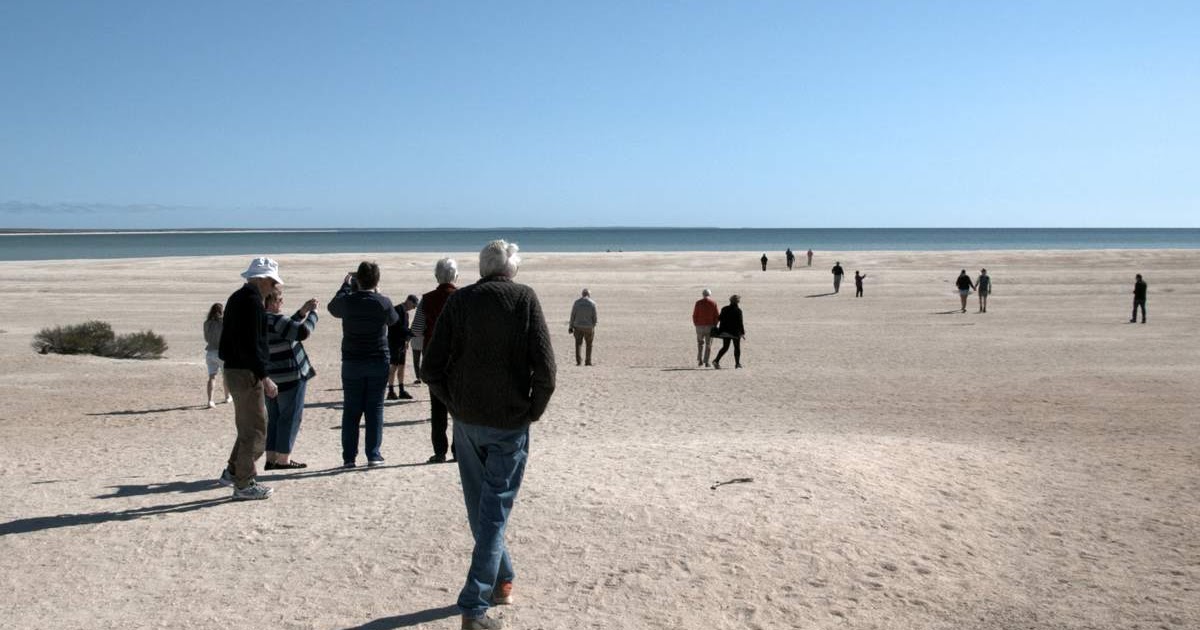 Bushranger: Shark Bay coastlines
