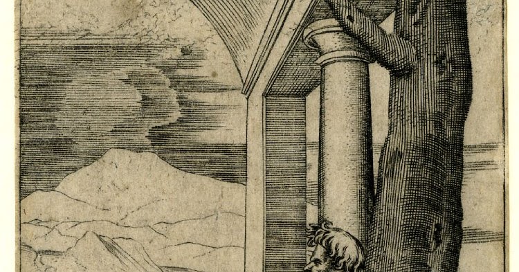 Spencer Alley: Lutes, Flutes, Lyres