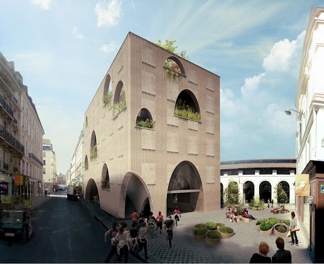 BAVS Arq – a f a s i a