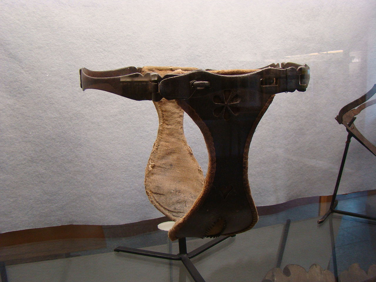 Appliances for Treatment and Prevention of Male and Female Masturbation ...