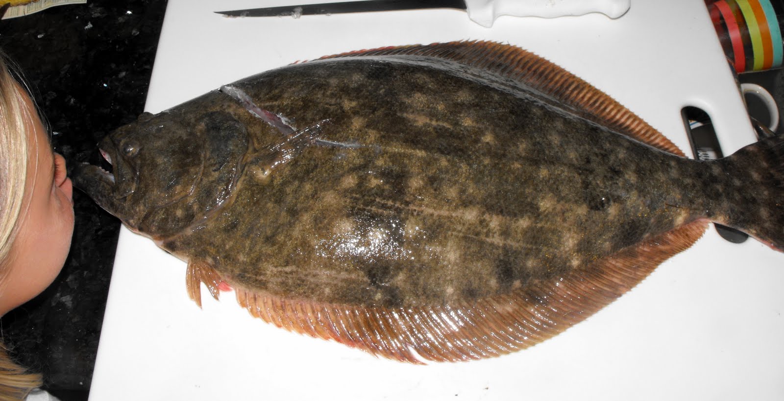 Flounder Run in Galveston, TX