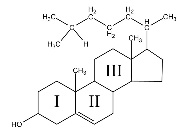 Esteroides: Estructura quimica
