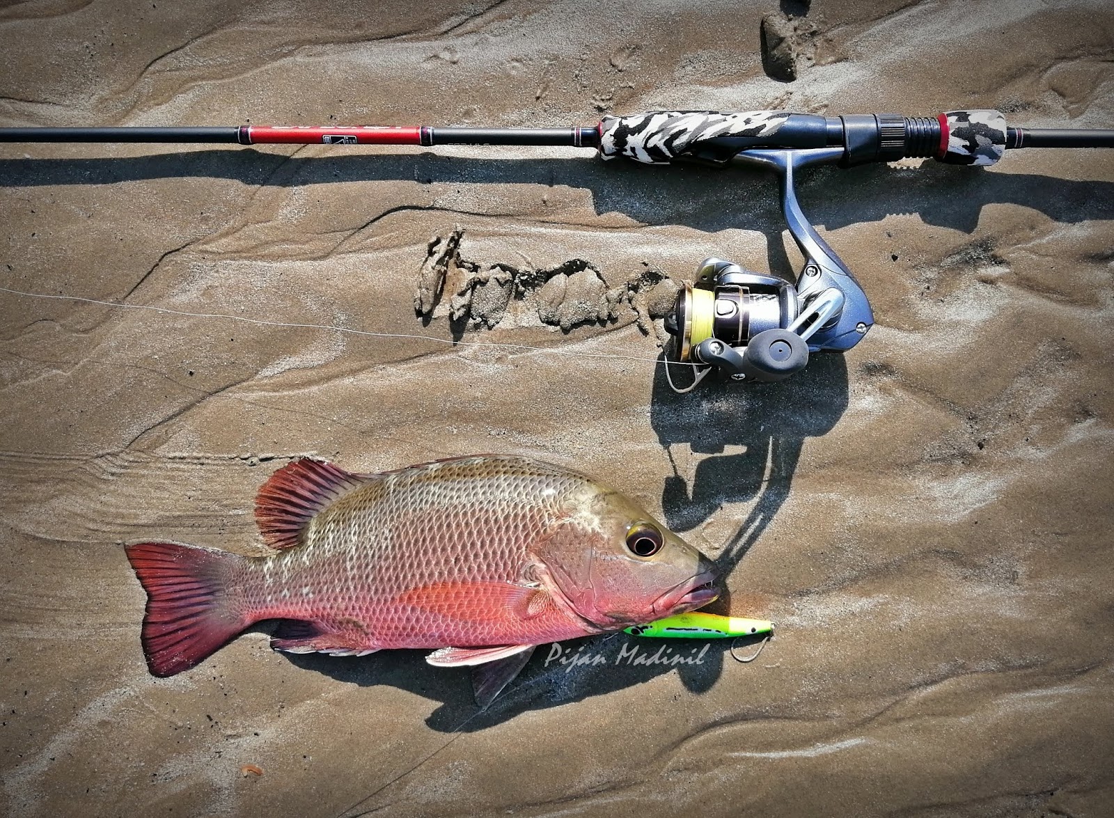 The Other Side of Me: Ikan Siakap Merah @ Mangrove Jack (MJ) #01-02/2019