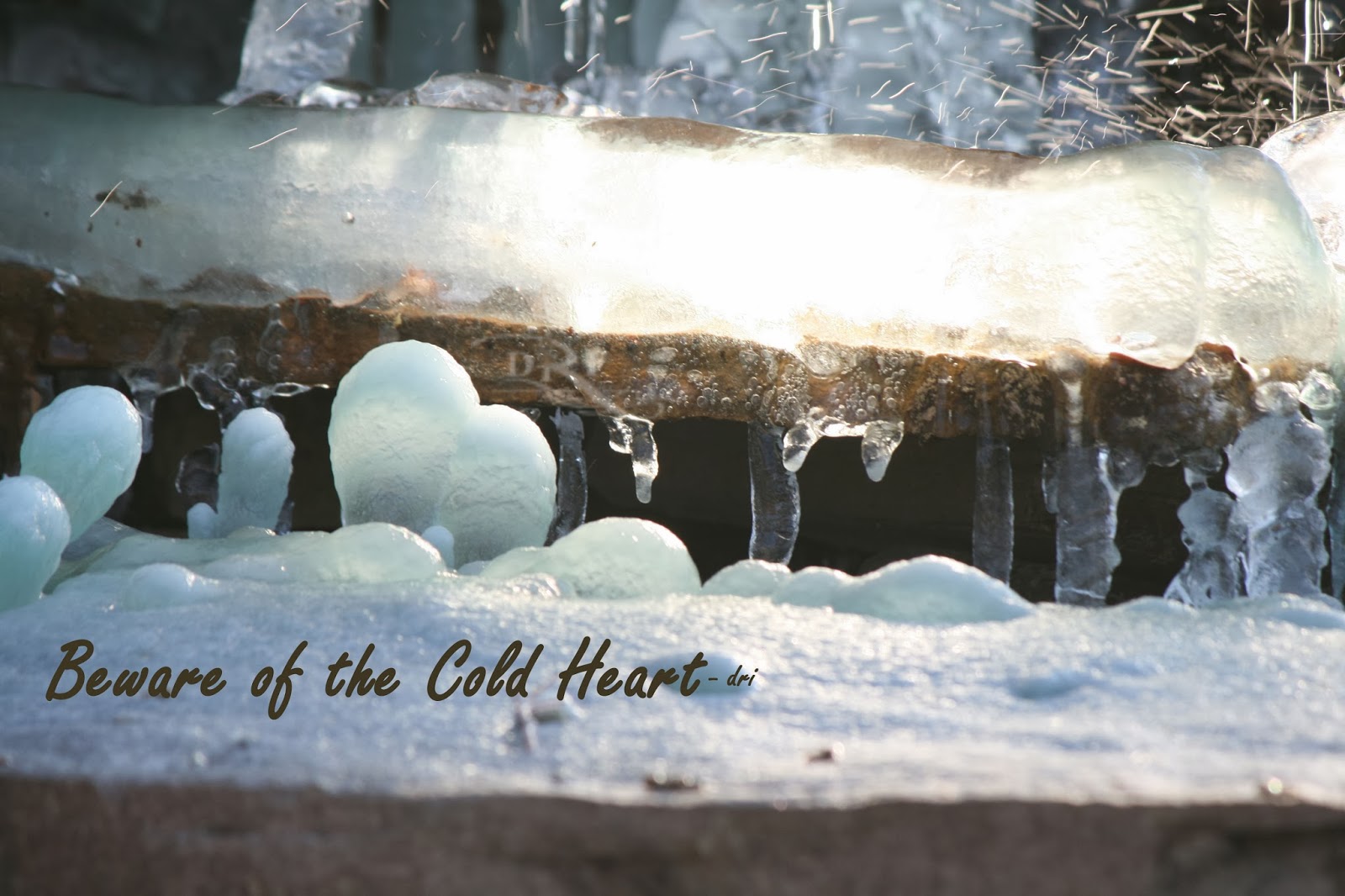 Redthorn Solutions LLC : January 2014