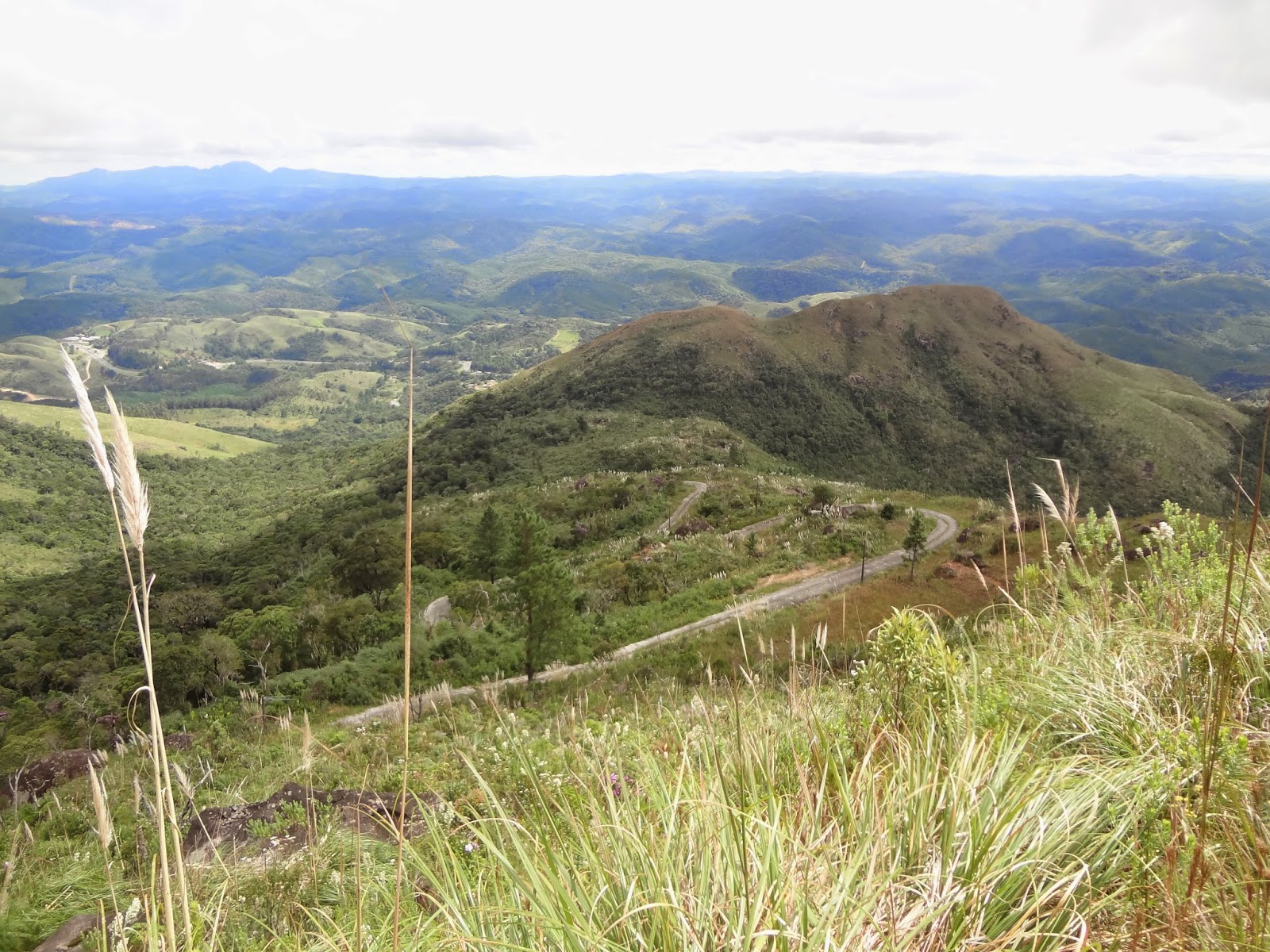 Prof. Fernando Bonato: Breve relato ambiental do Morro do Capivari