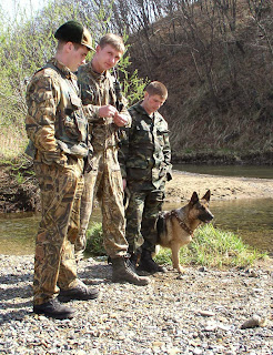 Amur Leopards NEED Your Help: Amur Leopard poaching and anti poaching