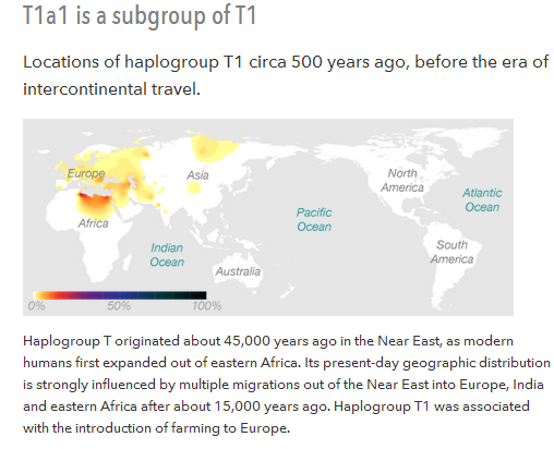 DNA : Eileen's Maternal Haplogroup T1a1 | TJL Genes : Preserving Our ...