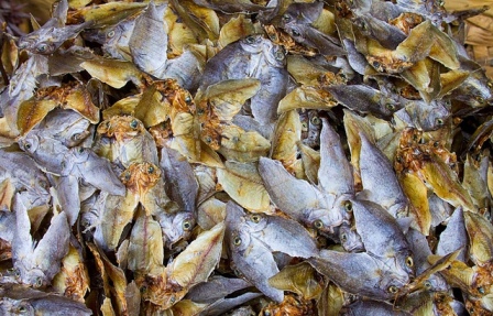 Coron | Palawan ~ Charm's Travel Journal