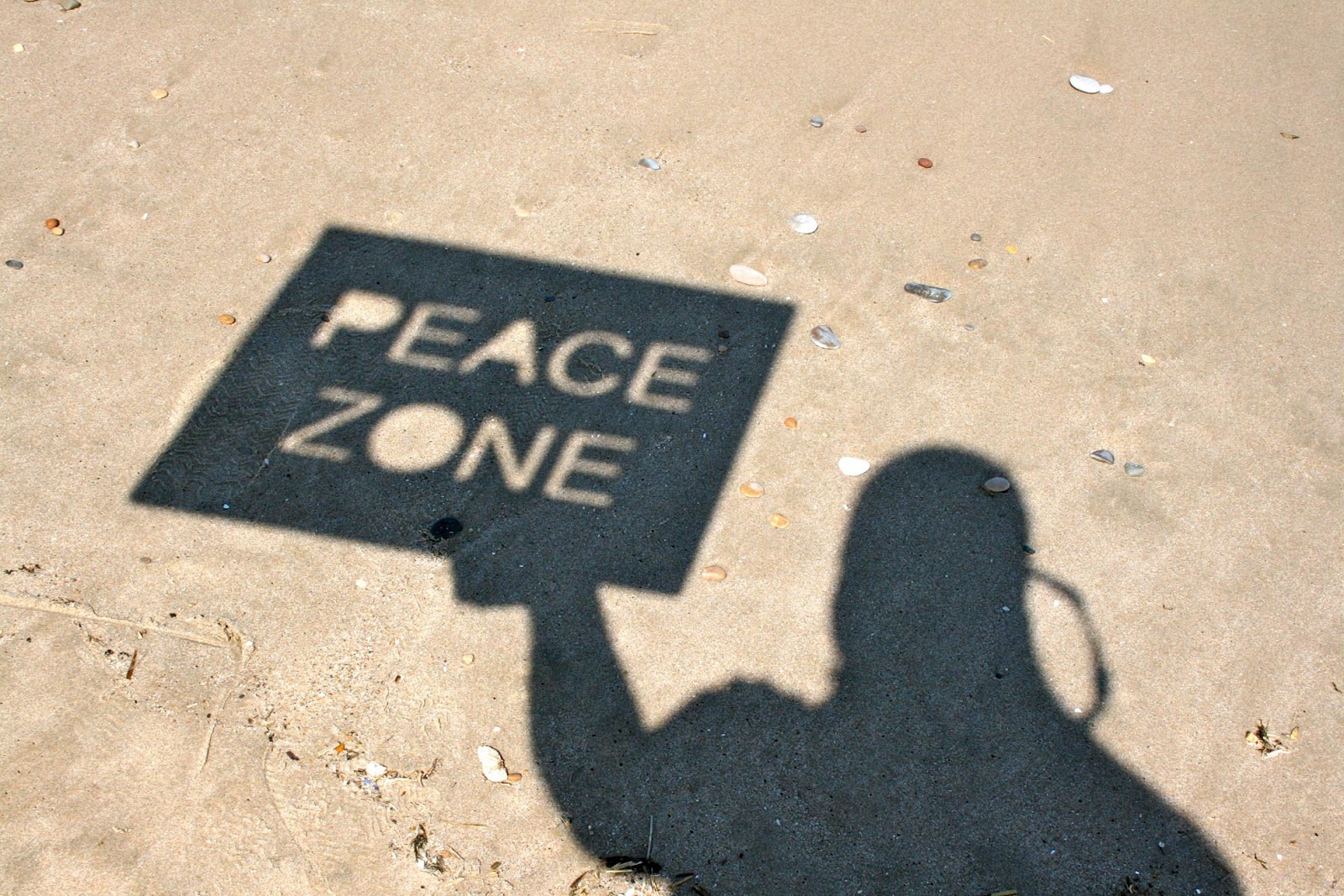 PEACE ZONE Action