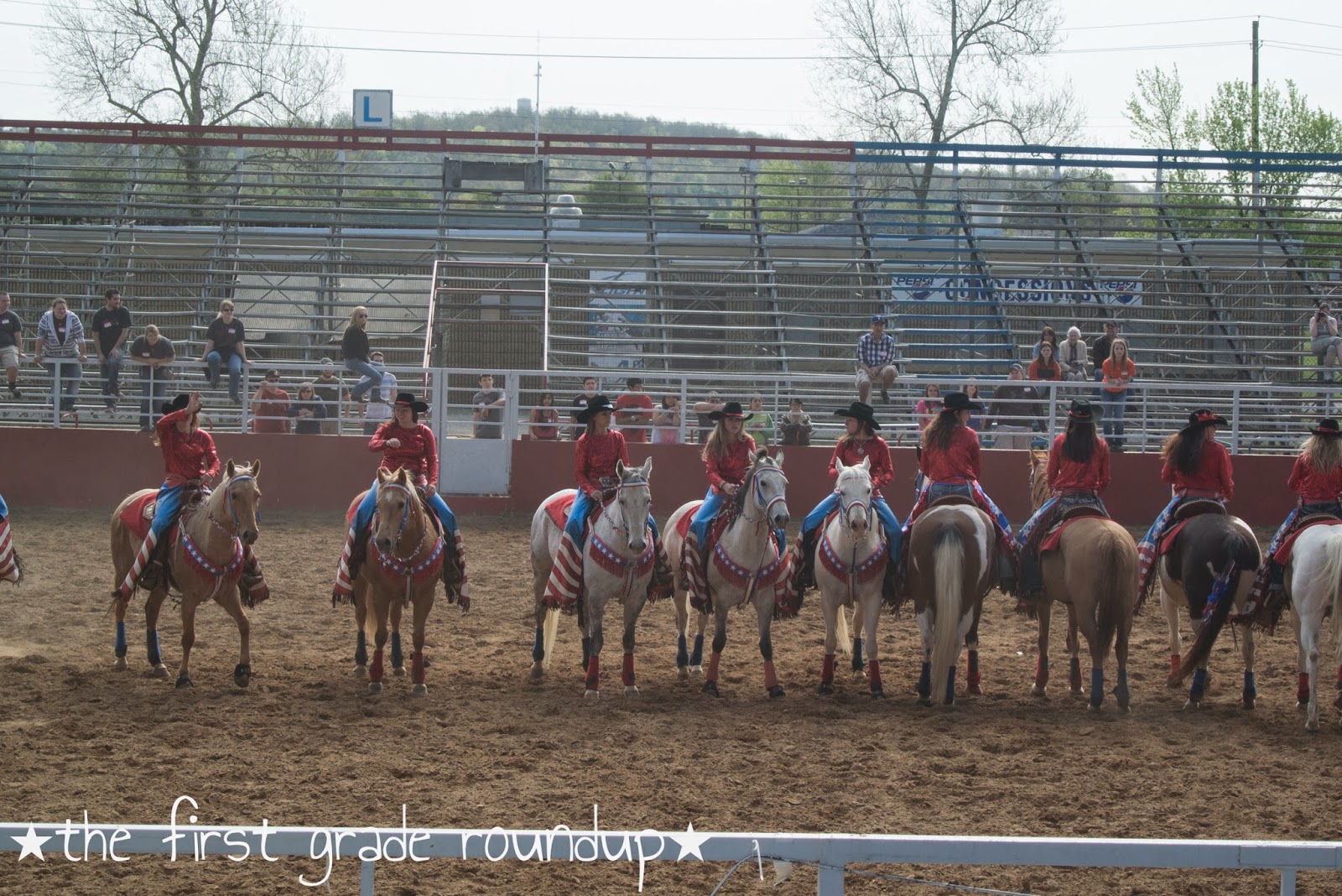 9 Stick Horse Rodeo ideas for economics lessons in 1st grade - The ...