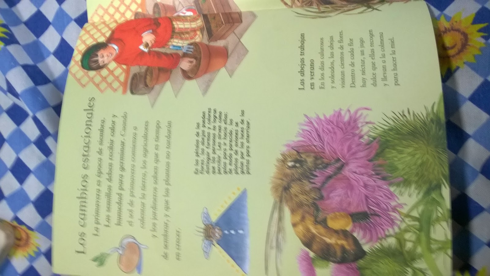 Las estaciones y el tiempo