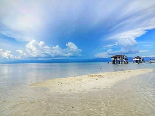 Manjuyod Sandbar | Maldives of the Philippines - The Pinoy Traveler